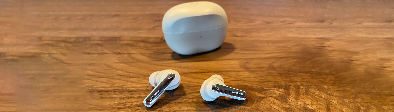 Anker Soundcore Life P3i Review with Active Nosie Cancellation